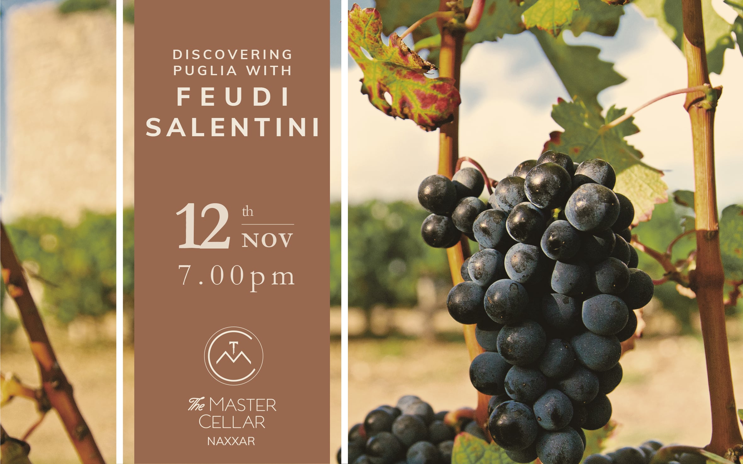 Wine Delivery Malta | The Master Cellar | Established since 1999